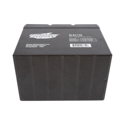 Interstate Batteries 12V, 75Ah SLA/AGM Battery For Automatic Gate ...